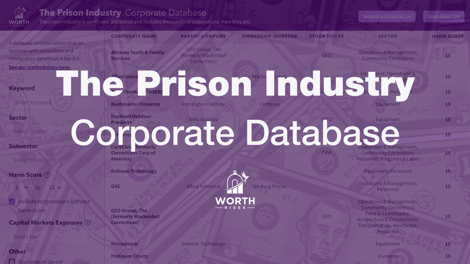 Prison Industrial Complex Infographic
